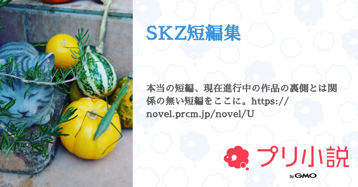 第104話：Too Cute to Be in Control? Think Again.🐿️🐺①（SKZ短編集）｜無料スマホ夢小説ならプリ小説 byGMO